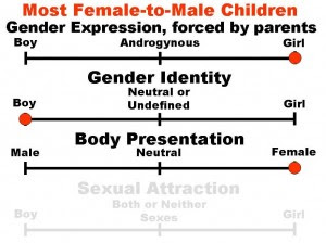Trans Group Blog: Gender Identity, Gender Expression, Body Presentation ...